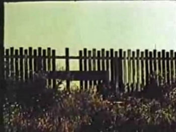 1990 – SFCinematheque