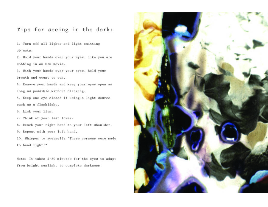 covalences: works from black hole collective film lab – SFCinematheque