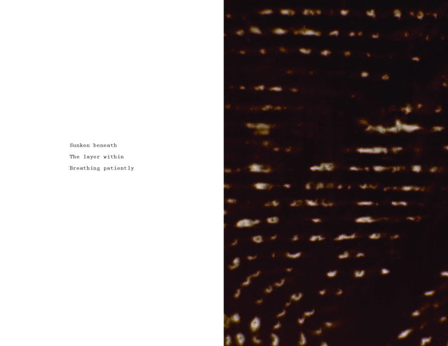 covalences: works from black hole collective film lab – SFCinematheque