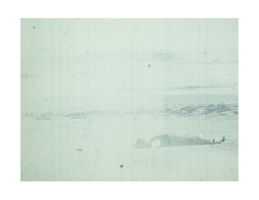 covalences: works from black hole collective film lab – SFCinematheque