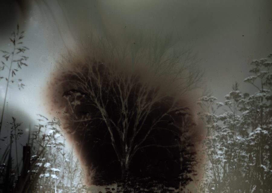 CROSSROADS 2021 Program 7 – SFCinematheque