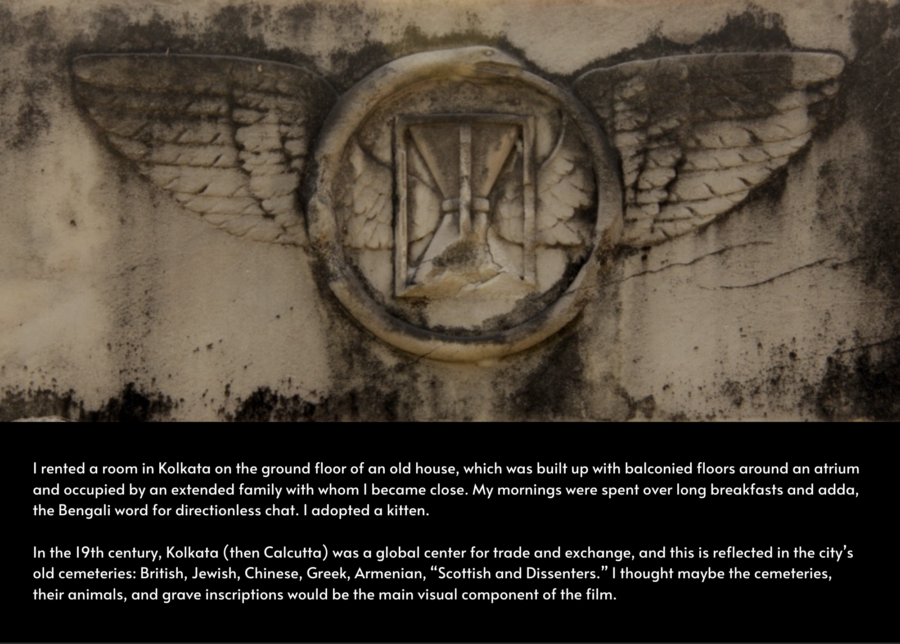 Loss Angles: about dead projects – SFCinematheque