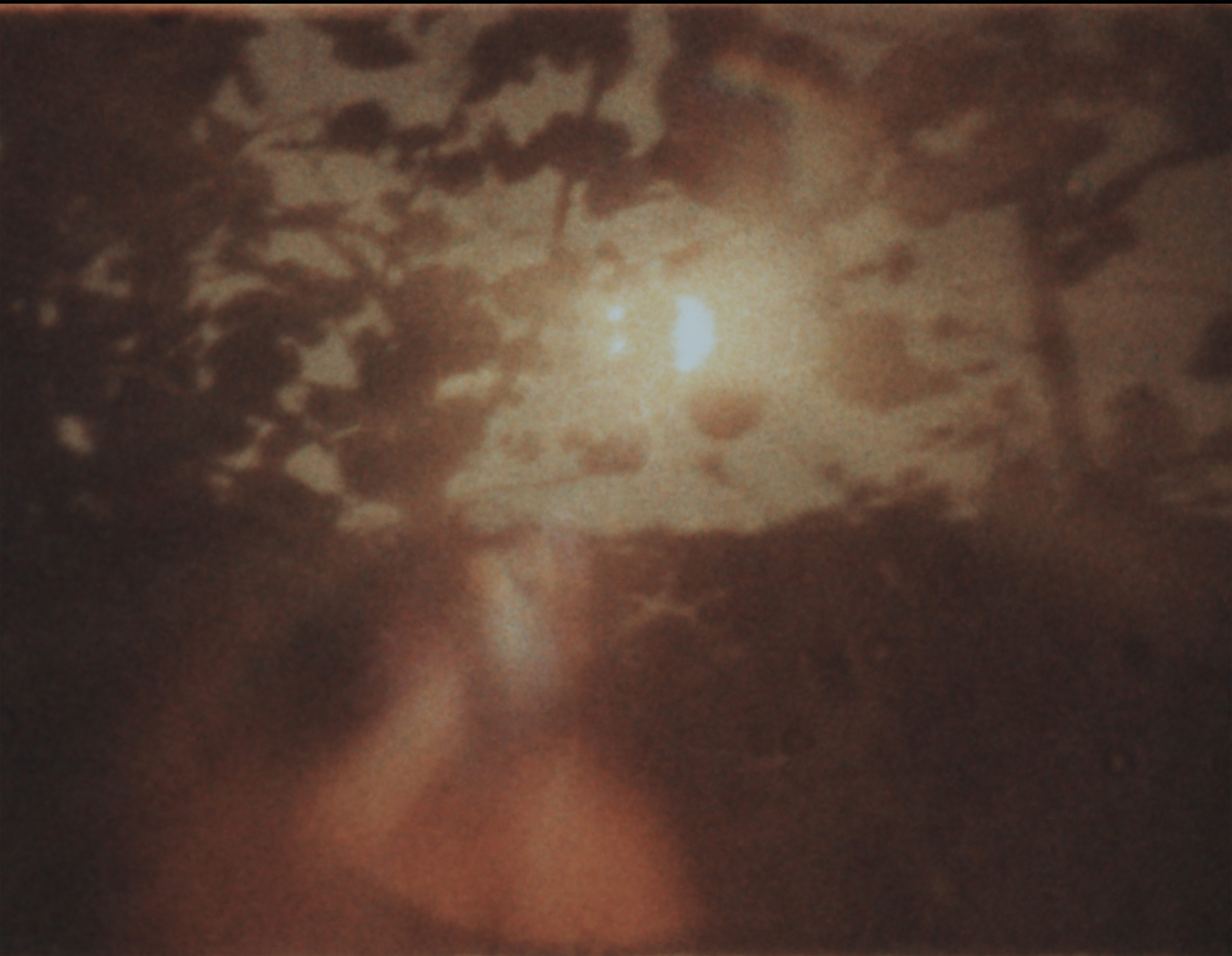 CROSSROADS 2023 – program 5 – SFCinematheque